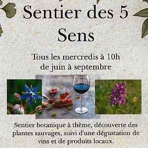 Home [tourismeduras.com]